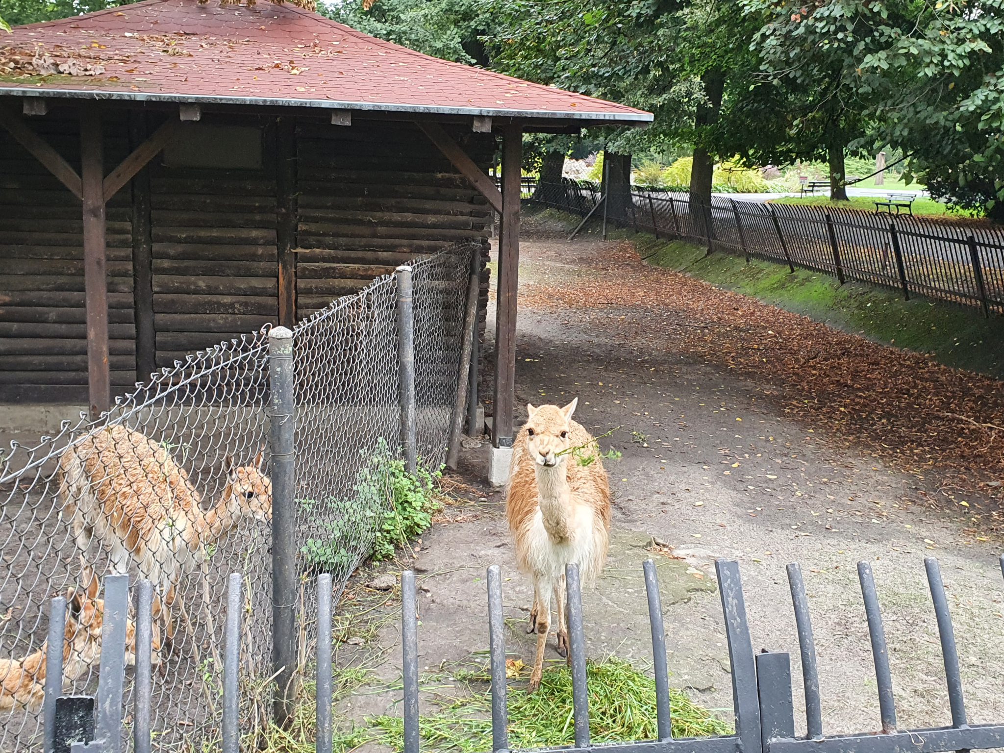 Warsaw – Warsaw Zoo – Walking. Gossip. Travel.