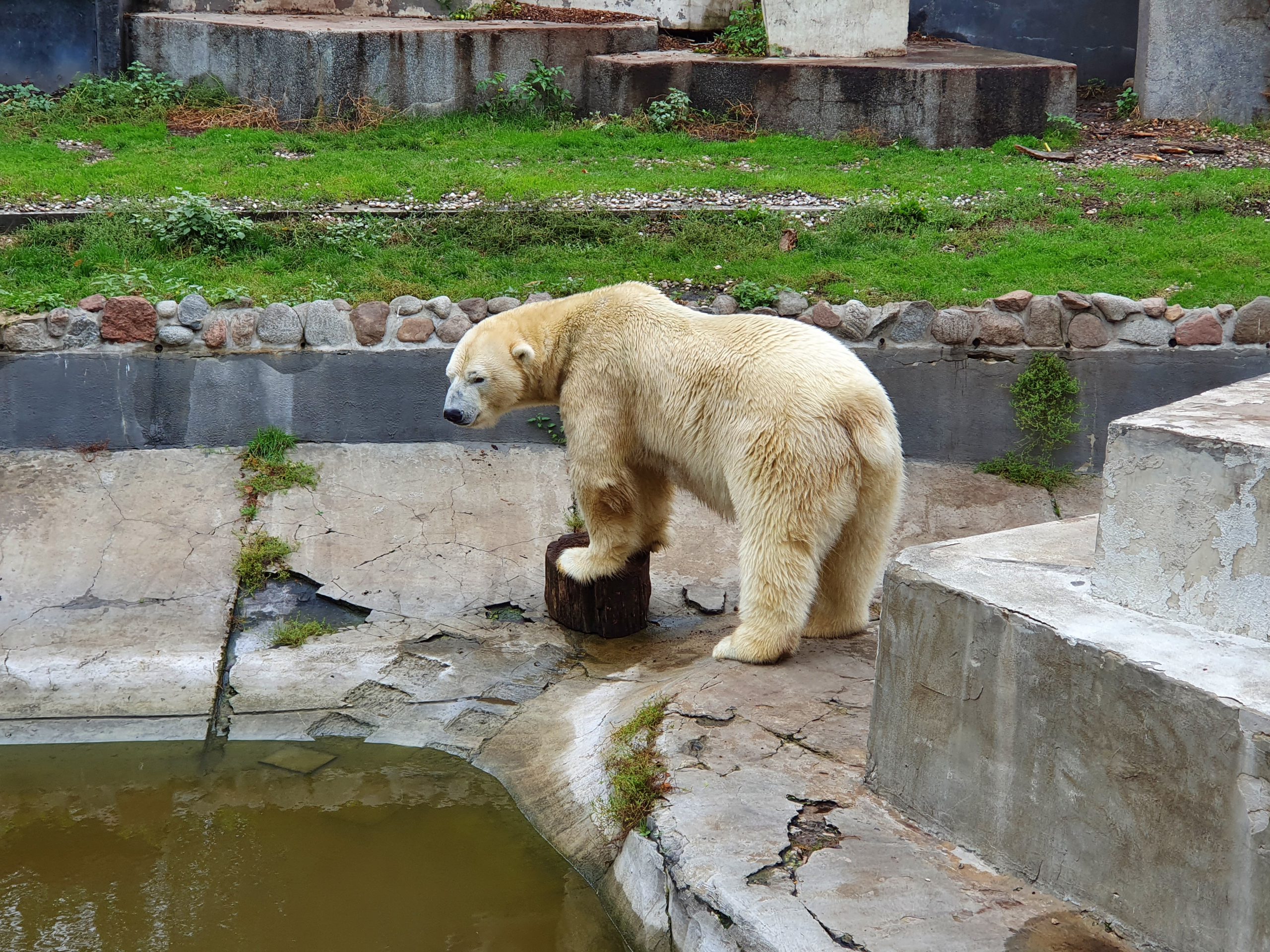 Warsaw – Warsaw Zoo – Walking. Gossip. Travel.